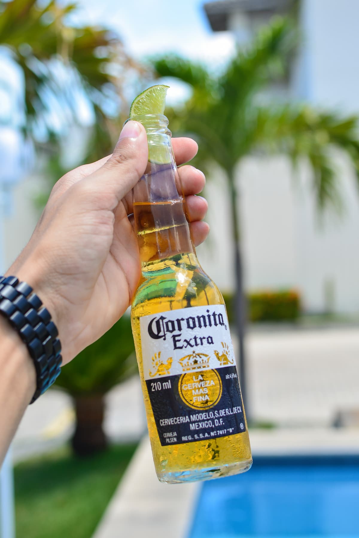 15 drinks com cerveja Corona para experimentar