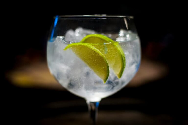7 receitas irresistíveis de drinks com vodka